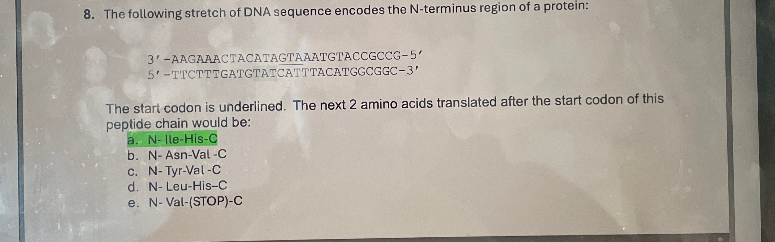 Solved The following stretch of DNA sequence encodes the | Chegg.com