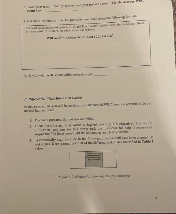 Solved Lab Objectives 1. Understand how to perform a WBC | Chegg.com