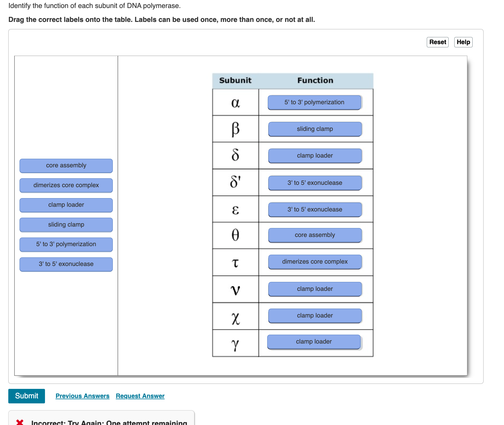 Solved Identify the function of each subunit of DNA | Chegg.com