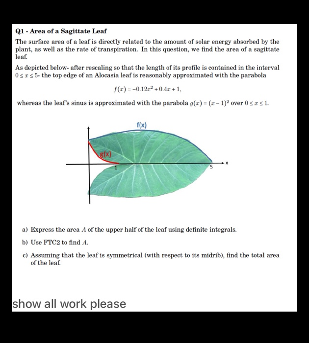 Solved Q1 - Area of a Sagittate Leaf The surface area of a | Chegg.com