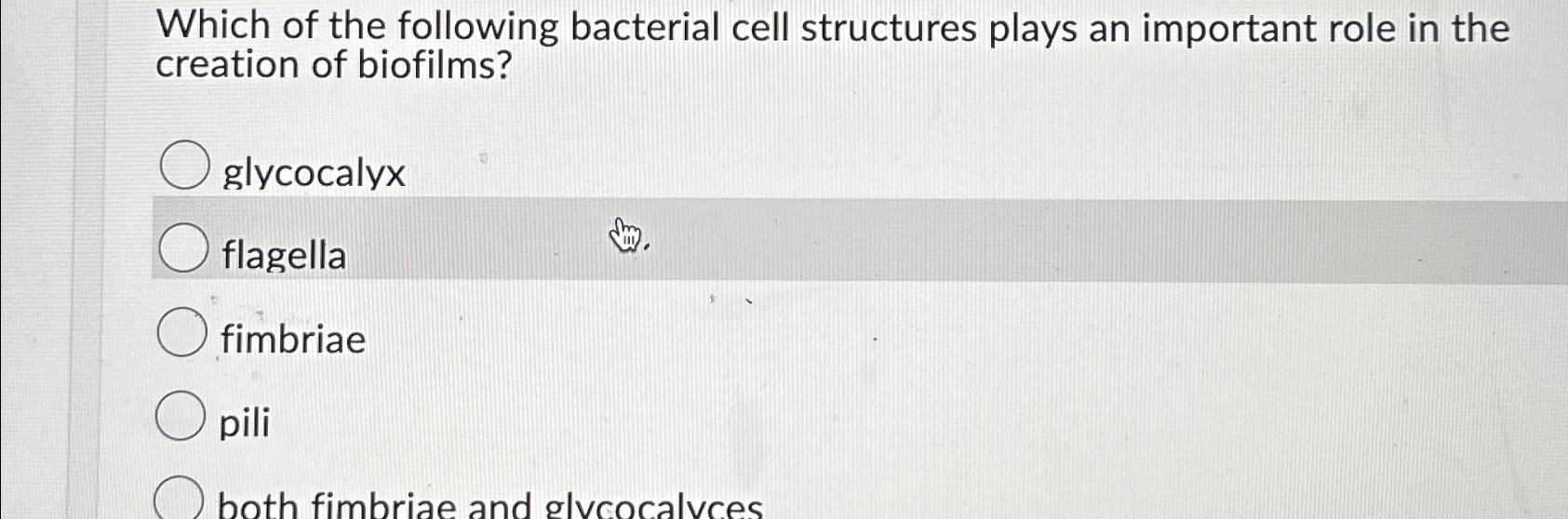 Solved Which of the following bacterial cell structures | Chegg.com