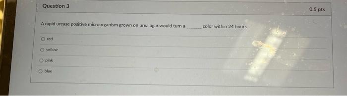 [Solved]: A rapid urease positive microorganism grown on ur