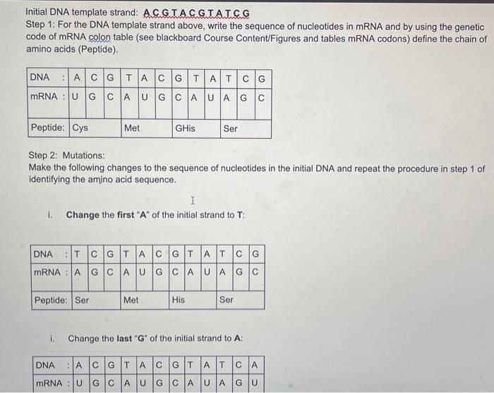 Solved i have two questions, How can mutation affect the | Chegg.com