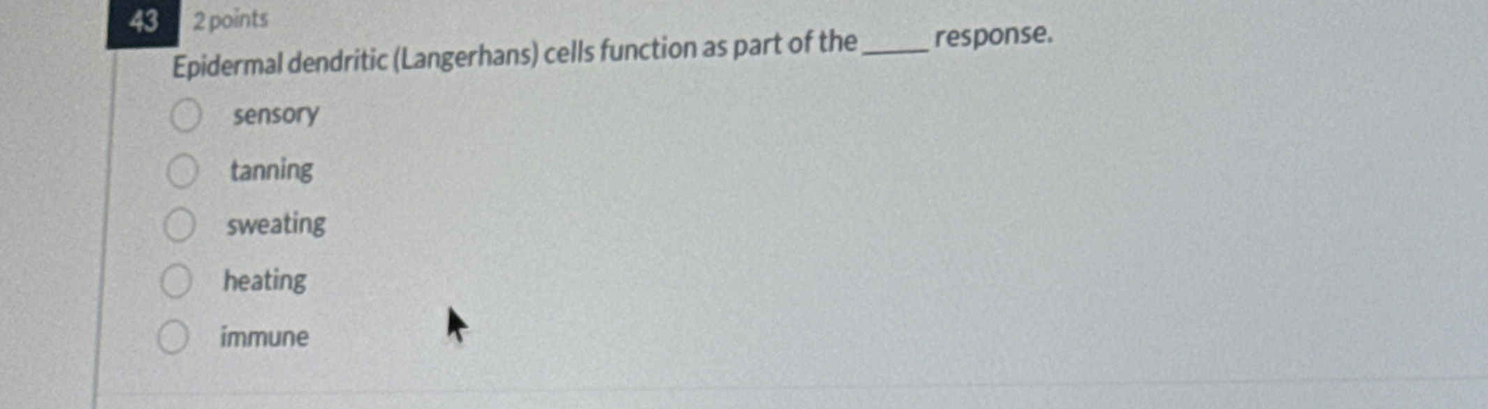 Solved 43 2pointsEpidermal dendritic (Langerhans) ﻿cells | Chegg.com