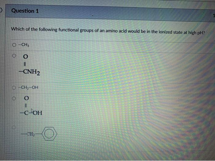 Solved which of the following functional groups of an amino | Chegg.com