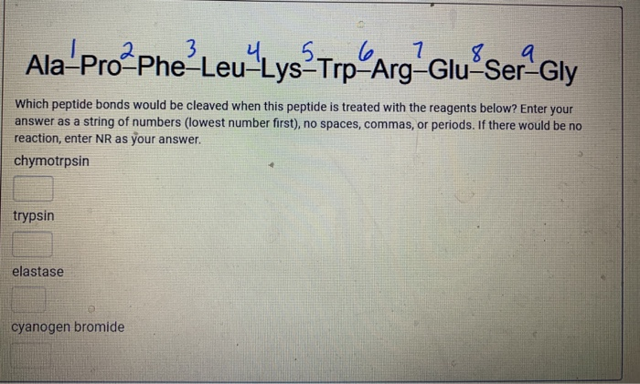 Solved A decapeptide was analyzed and the following | Chegg.com