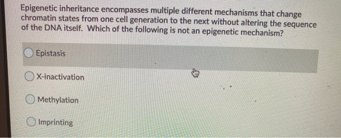 Solved Epigenetic inheritance encompasses multiple different | Chegg.com