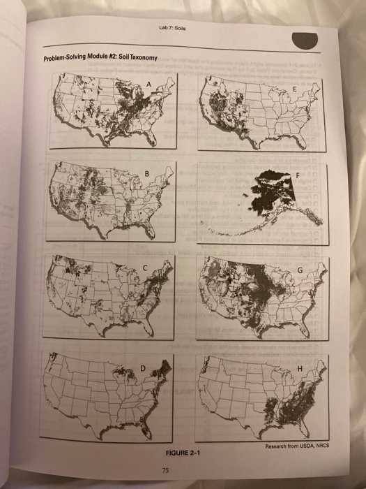 Solved Lab 7: Soils Problem Solving Module #2: Soil Taxonomy | Chegg.com