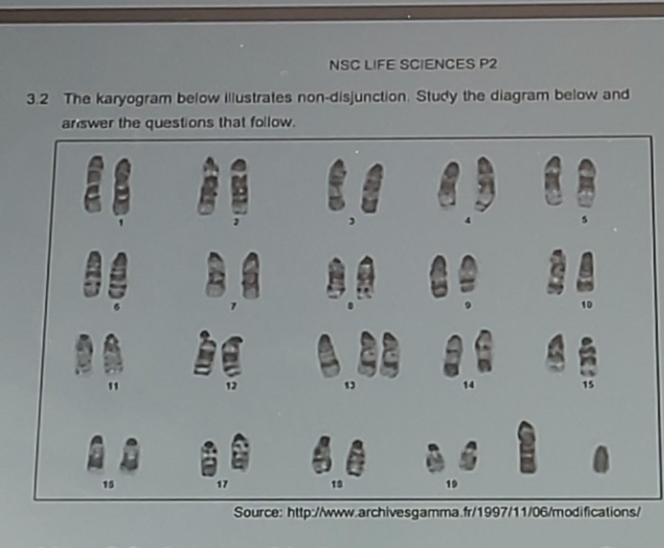 Solved 2 The karyogram below illustrates non-disjunction. | Chegg.com