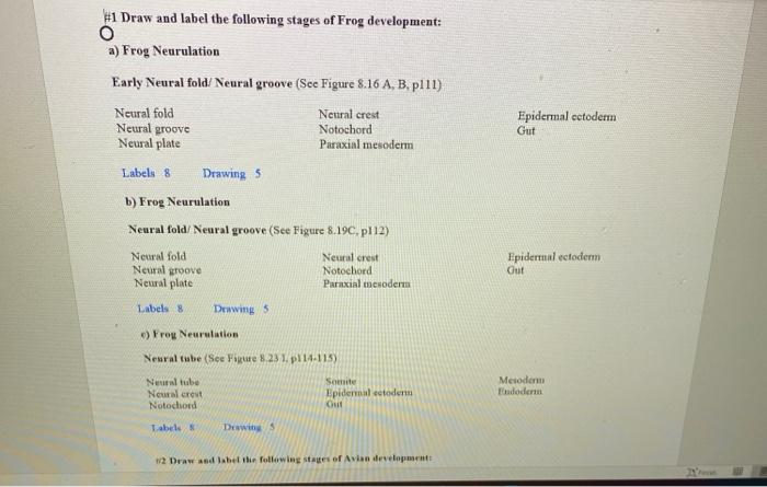 #1 Draw and label the following stages of Frog | Chegg.com
