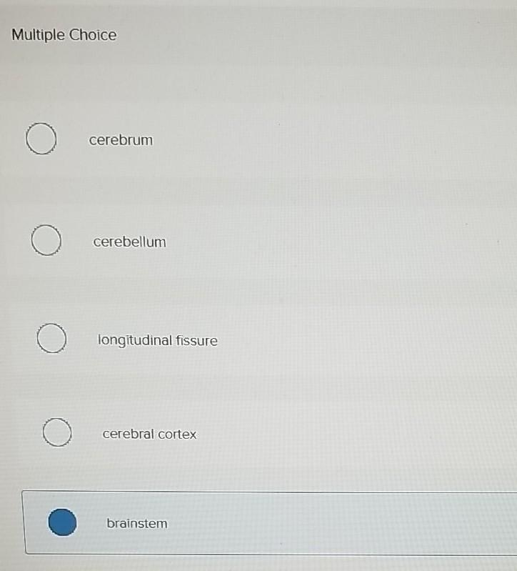 Solved Which structure is highlighted? Multiple Choice O | Chegg.com