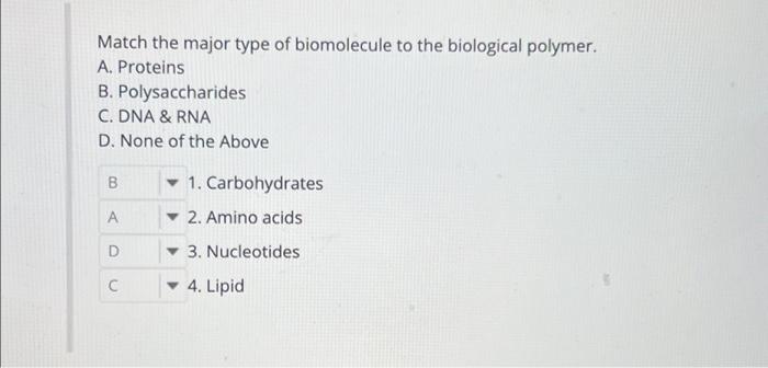 Solved Match the major type of biomolecule to the biological | Chegg.com