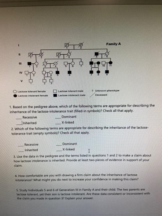 Solved 回 Family A 11 IV V Lactose tolerant female Lactose | Chegg.com