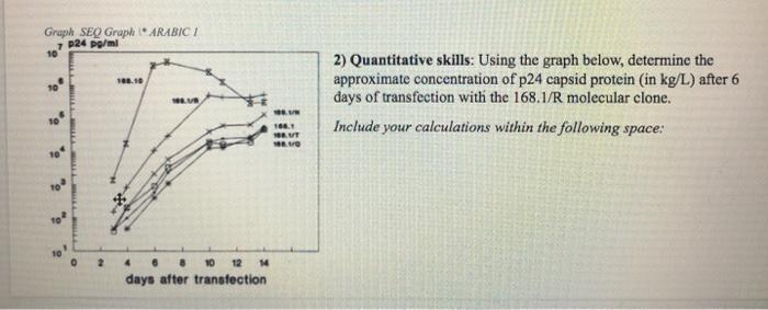 Solved Graph SEQ Graph ARABIC / p24 pg/ml 10 105.16 09 10 2) | Chegg.com