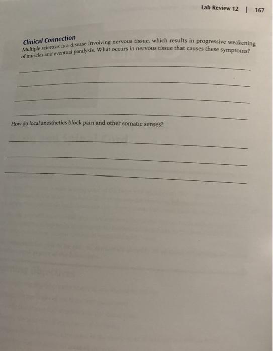 Solved Multiple sclerosis is a disease involving nervous | Chegg.com