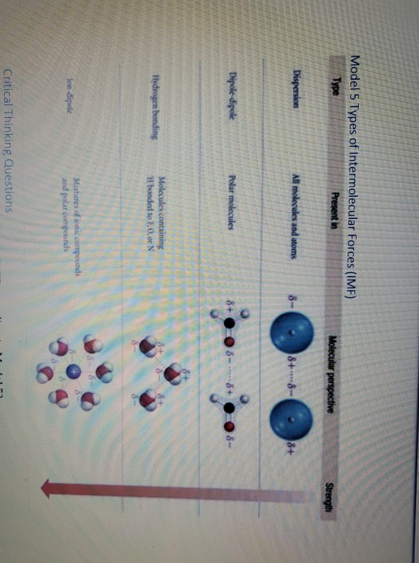 Solved Model 5 Types of Intermolecular Forces (IMF) Type | Chegg.com