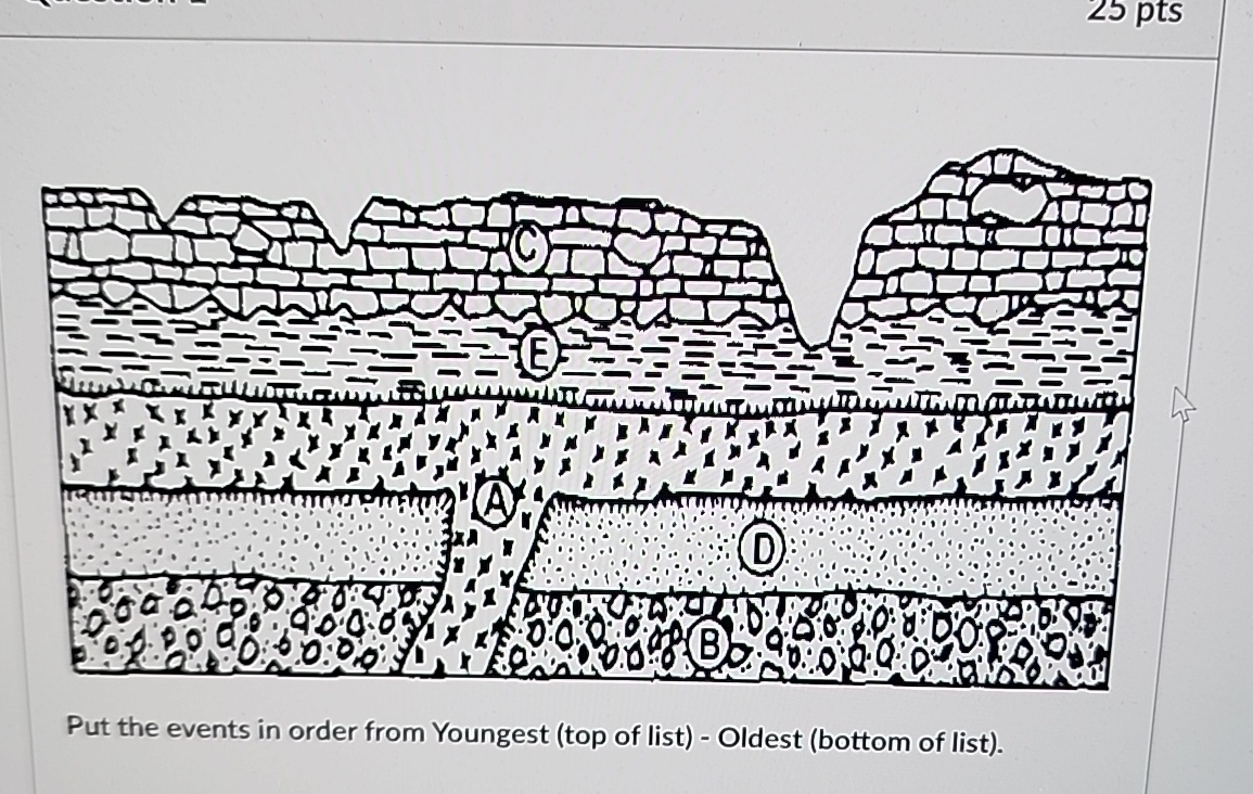 Solved Put the events in order from Youngest (top of list) - | Chegg.com