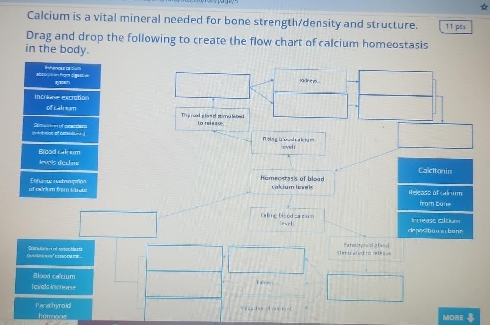Solved Calcium is a vital mineral needed for bone | Chegg.com