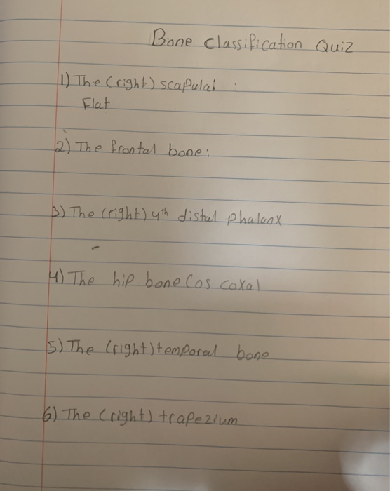 Solved Classify each of the 6 following bones according to | Chegg.com