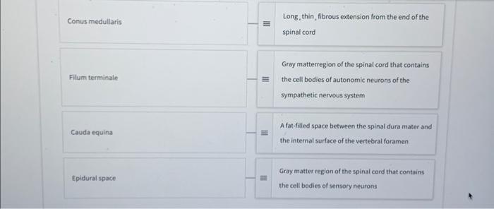 Solved Structures of the Brain Match each term to the | Chegg.com