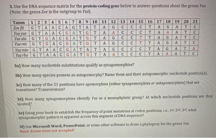 Solved 3. Use the DNA sequence matrix for the protein-coding | Chegg.com