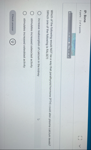 Solved IP: Bone4 ﻿parts 2 ﻿of 4 ﻿pointsWhich of the | Chegg.com