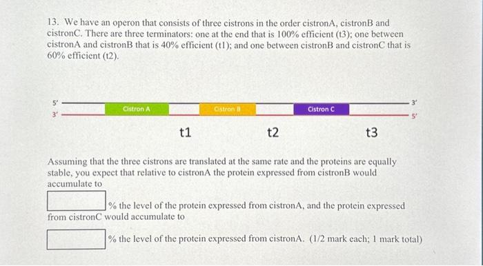Solved 13. We have an operon that consists of three cistrons | Chegg.com