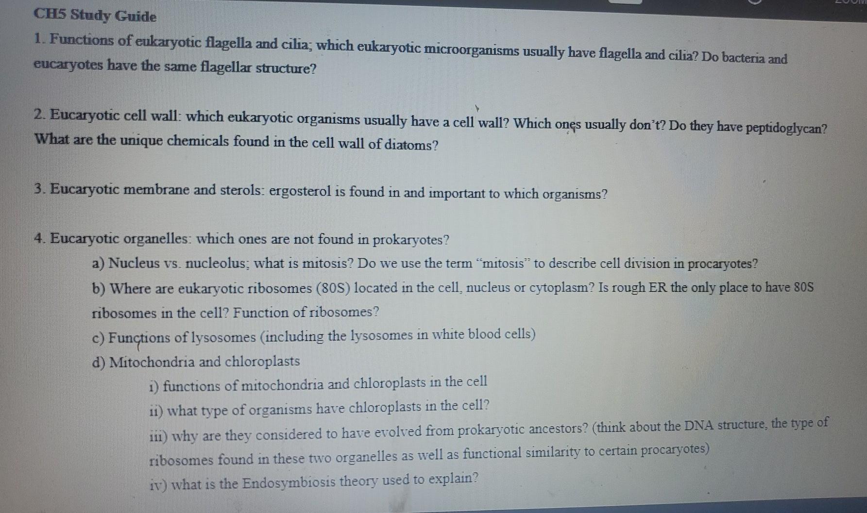 Solved CH5 Study Guide 1. Functions of eukaryotic flagella | Chegg.com