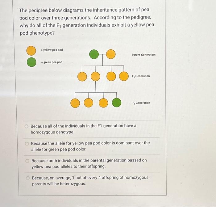 Solved The pedigree below diagrams the inheritance pattern | Chegg.com