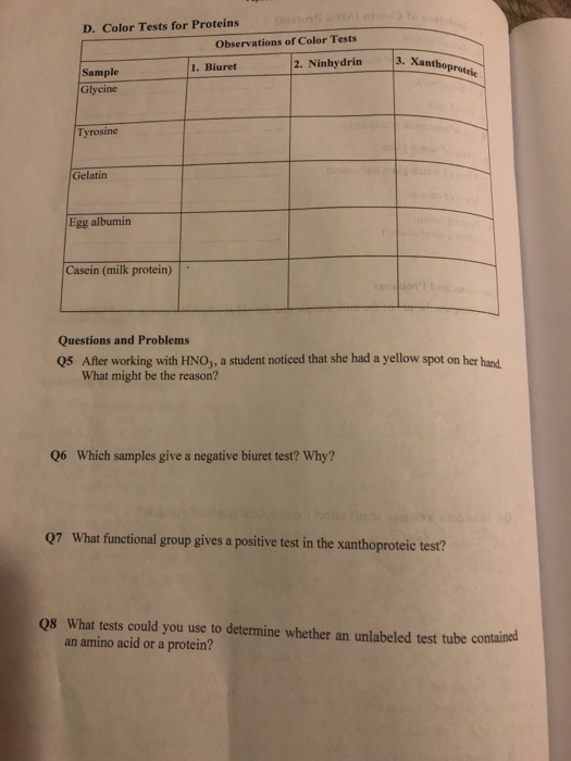 Solved D. Color Tests for Proteins n on Observations of | Chegg.com