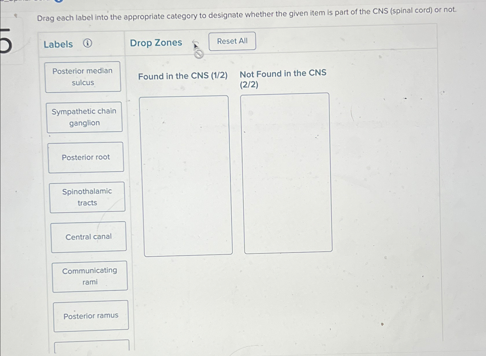 Solved Drag each label into the appropriate category to | Chegg.com