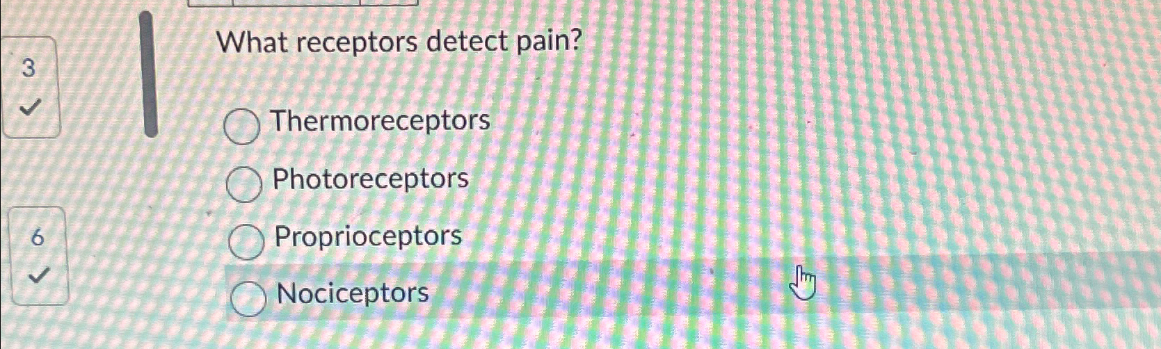 Solved What receptors detect | Chegg.com