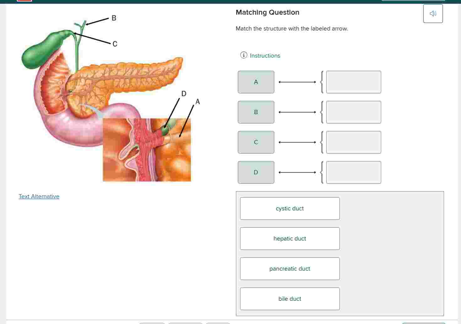 Solved Matching QuestionMatch the structure with the labeled | Chegg.com Solved Matching QuestionMatch the structure with the labeled | Chegg.com