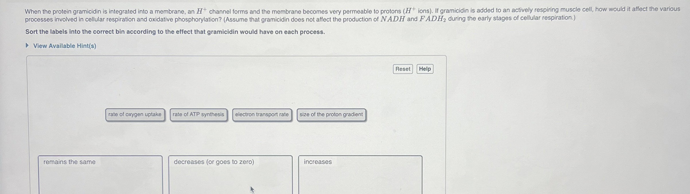 Solved processes involved in cellular respiration and | Chegg.com