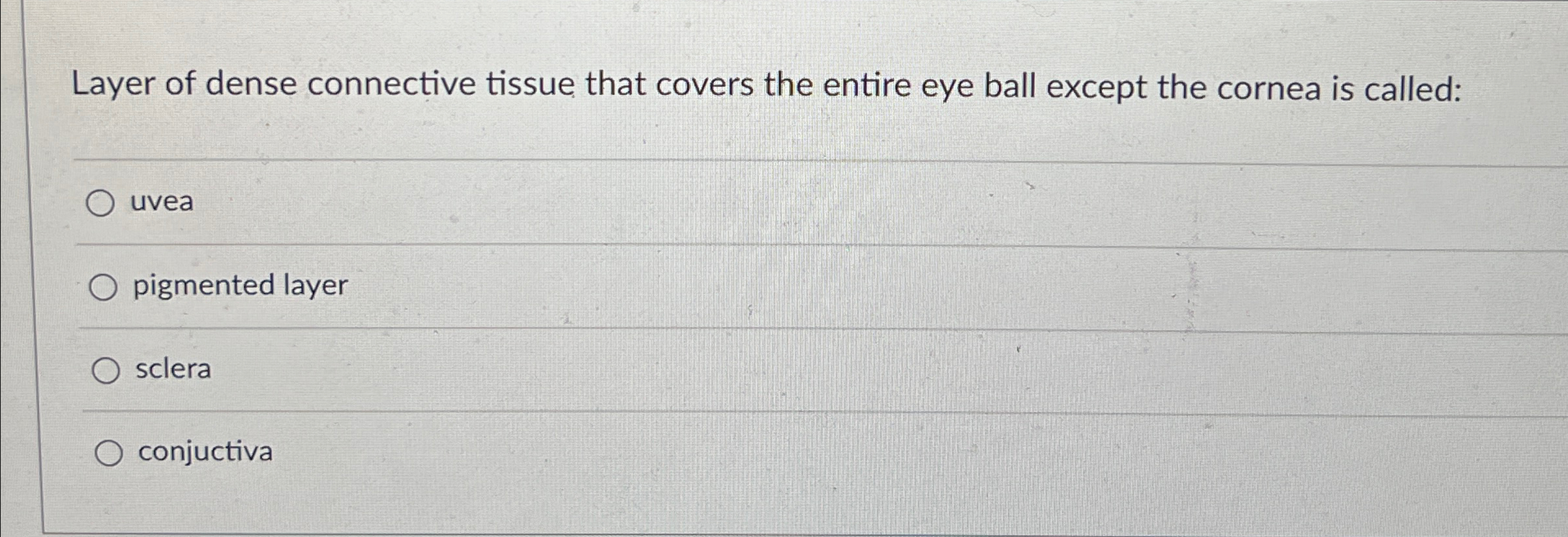 Solved Layer of dense connective tissue that covers the | Chegg.com
