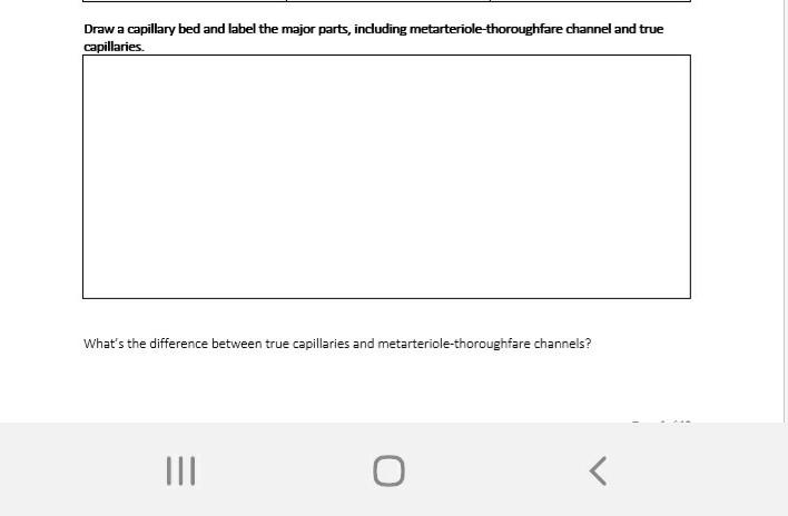 Solved Draw a capillary bed and label the major parts, | Chegg.com