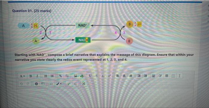 Solved Question 01. [25 marks] Starting with NAD +, compose | Chegg.com