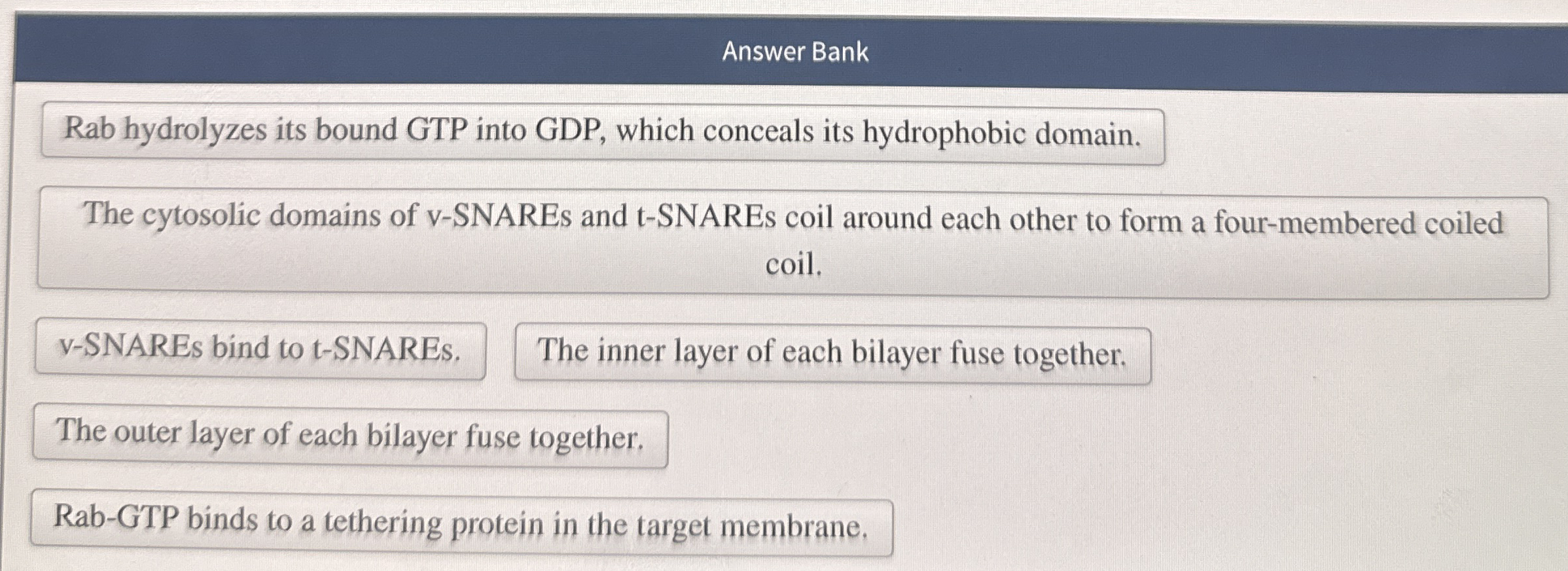 Solved Answer BankRab hydrolyzes its bound GTP into GDP, | Chegg.com