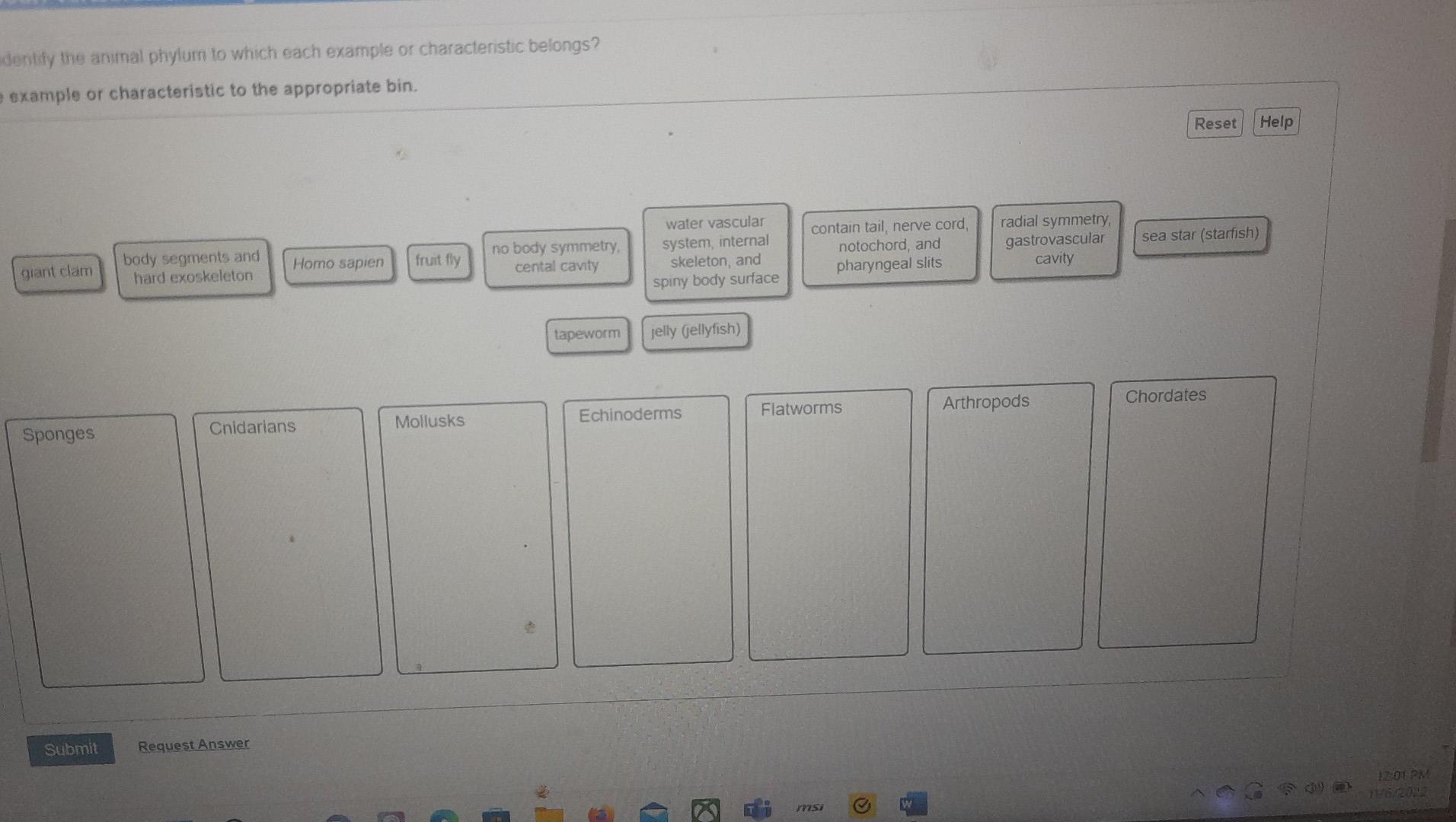 Solved denifif the anumal phylum to which each example or | Chegg.com