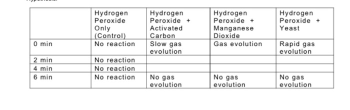 Solved Hydrogen Peroxide Only (Control) No reaction Hydrogen | Chegg.com