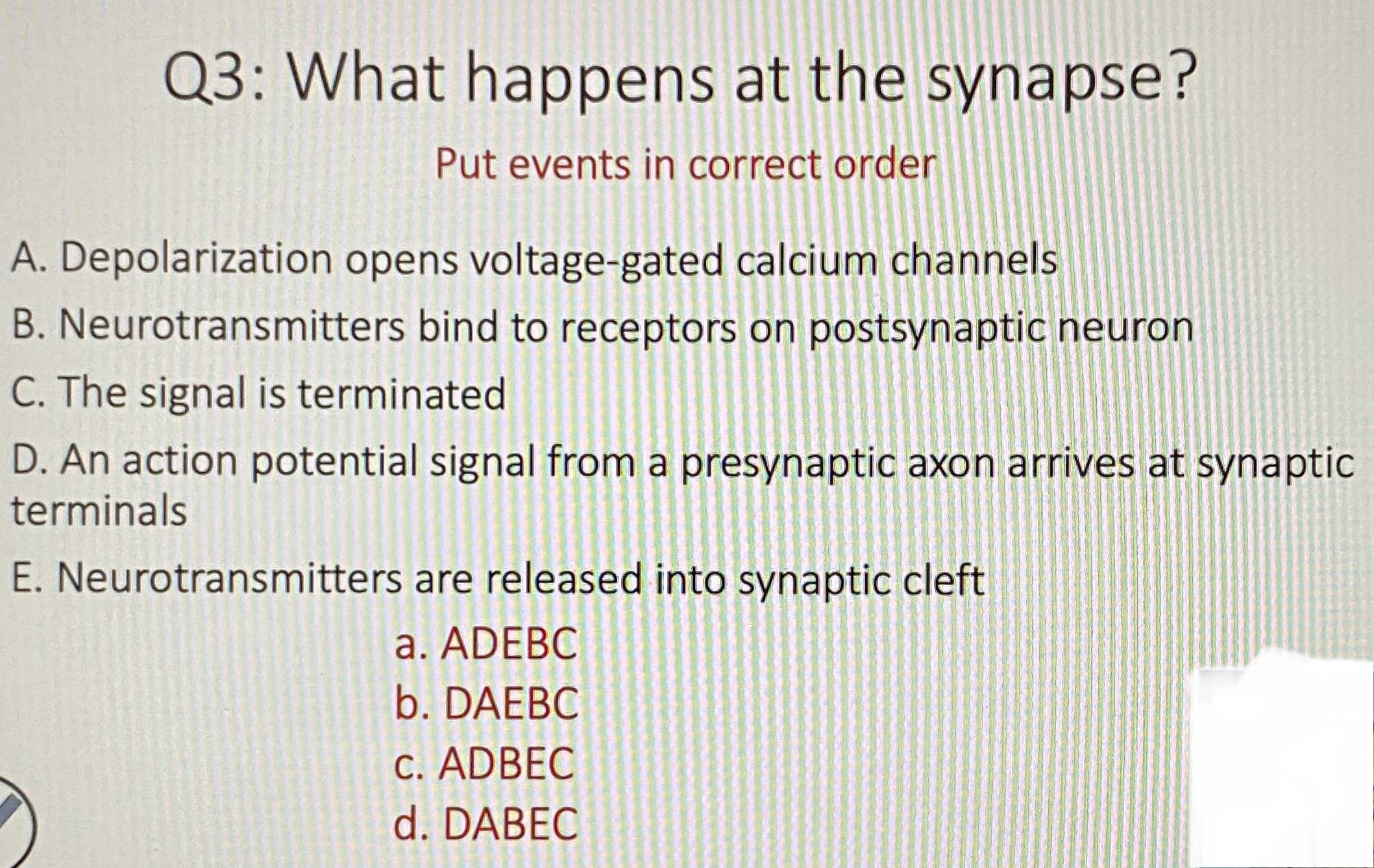 Solved Q3: What happens at the synapse?Put events in correct | Chegg.com