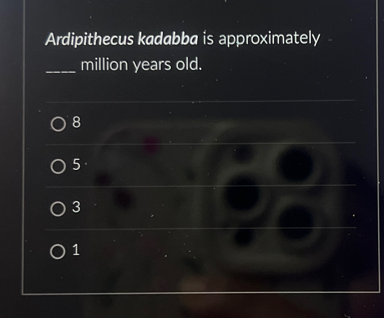 Solved Ardipithecus Kadabba Is Approximatelyq ﻿million
