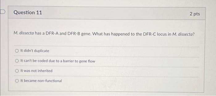 Solved Question 11 M. dissecta has a DFR-A and DFR-B gene. | Chegg.com