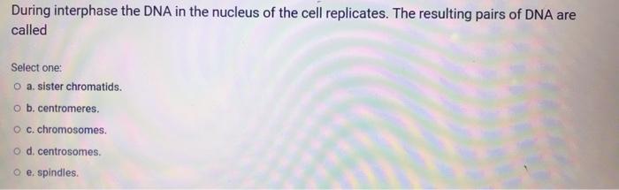 Solved At the end of meiosis, you will end up with cells | Chegg.com