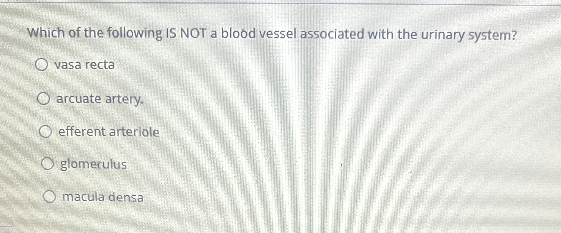 Solved Which of the following IS NOT a blood vessel | Chegg.com