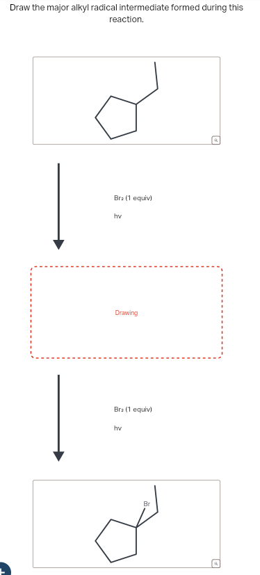 Solved Draw the major alkyl radical intermediate formed | Chegg.com