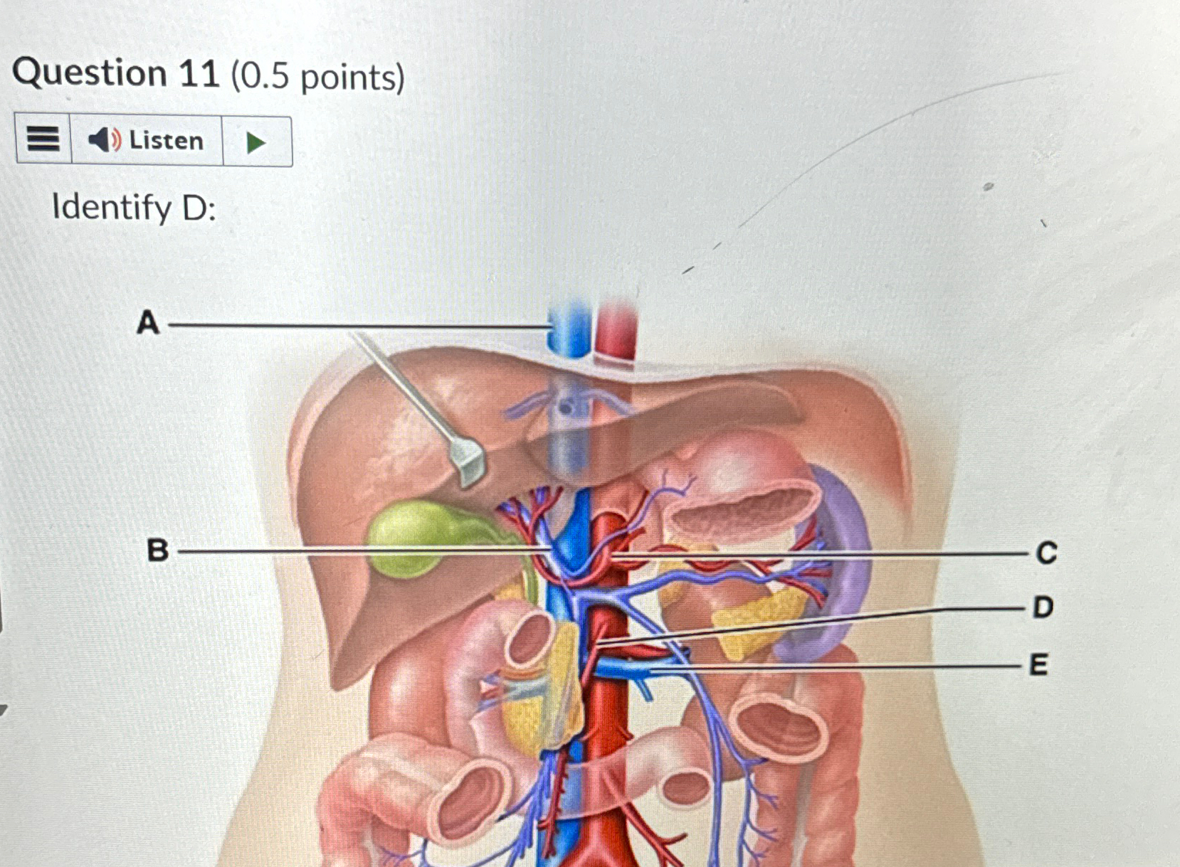 Solved Question 11 ( 0.5 points)Identify D:A | Chegg.com Solved Question 11 ( 0.5 points)Identify D:A | Chegg.com