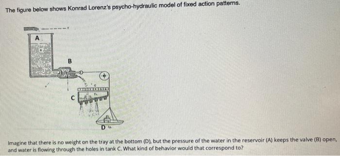 Solved The figure below shows Konrad Lorenz's | Chegg.com