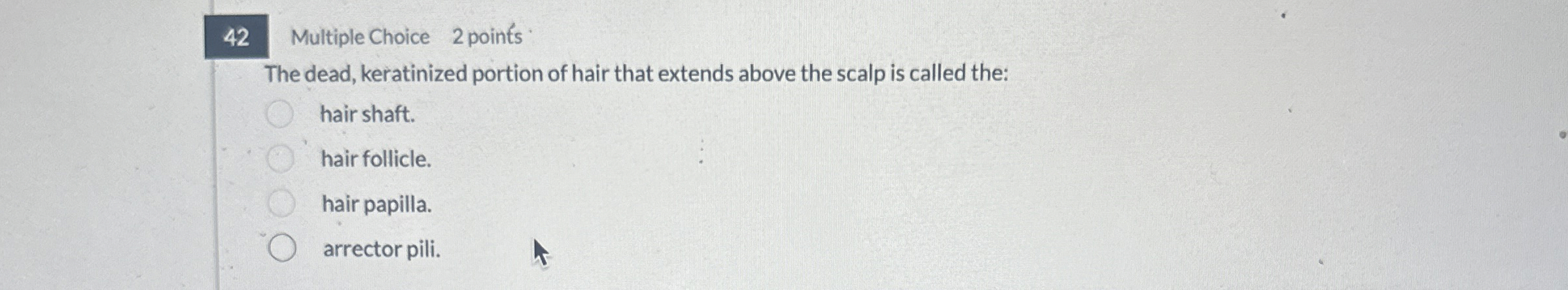 Solved ﻿Multiple Choice 2 ﻿pointsThe dead, keratinized | Chegg.com