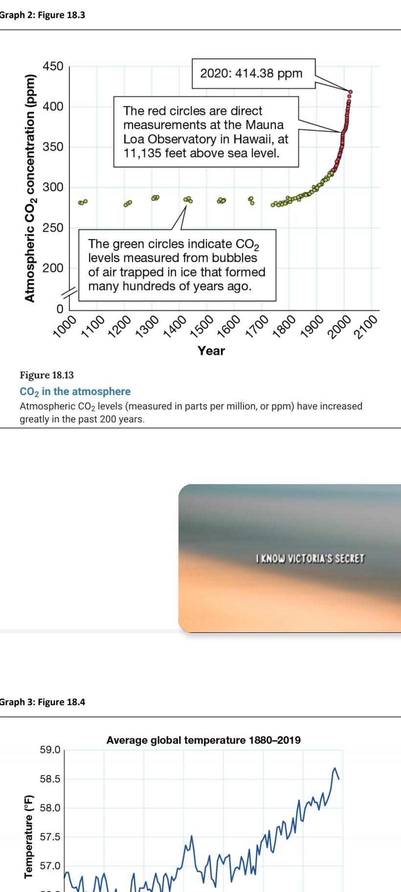 Solved Use the graphs attached to describe how increased | Chegg.com